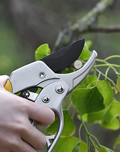 Premium Bypass Pruning Shears,Garden clippers, Gardening scissors,ratchet pruners shears, for orchard,tree, floral, live plants, arthritis weak hand gardening tools (Modern)