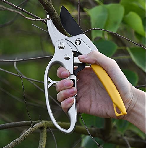 Premium Bypass Pruning Shears,Garden clippers, Gardening scissors,ratchet pruners shears, for orchard,tree, floral, live plants, arthritis weak hand gardening tools (Modern)