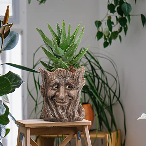 EIIORPO Face Planter,Head Planter Garden Pots Resin Face Planter Flower Pots Succulent Planters Funny Planters for Indoor Plants Yard Art Garden Decorations Creative Gift.(B)
