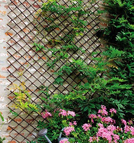 LANDGARDEN Expandable Garden Trellis Plant Support Willow Lattice Fence Panel for Climbing Plants Vine Ivy Rose Cucumbers Clematis