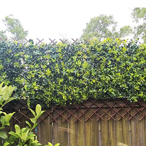 LANDGARDEN Expandable Garden Trellis Plant Support Willow Lattice Fence Panel for Climbing Plants Vine Ivy Rose Cucumbers Clematis