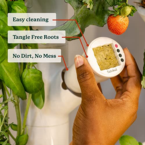 Gardyn 2.0 Hydroponics Growing System Indoor Garden Vertical Garden Planter | 30 Non-GMO Indoor Plants, Herbs & Vegetables Indoor Gardening System - LED Grow Lights | No Soil, Grow Tent or Green House
