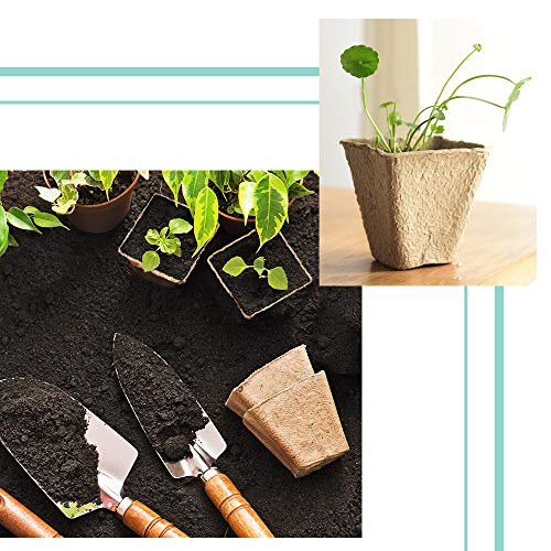 JOYSEUS 3.25" Seed Starter Pots, Organic Planting Peat Pots for Garden Seedling, 30 Pcs 100% Eco-Friendly and Biodegradable Seedling Pots for Seed Germination