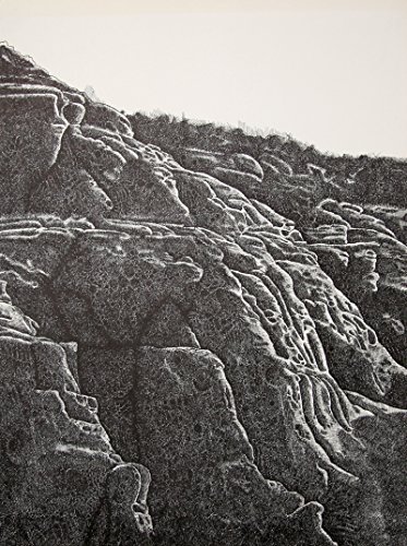 Canyon Portfolio - Dinosaur National Monument I