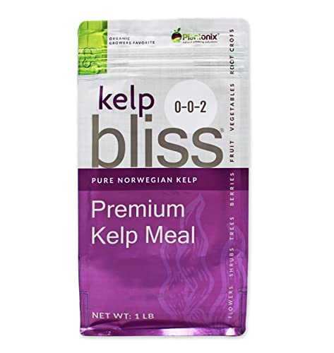 Kelp Bliss - Pure Kelp Meal - Organic Kelp Fertilizer for Growing Healthy Plants, Crops, and Gardens! Increases Fruit and Vegetable Yield! (1 lb)