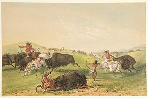 Buffalo Hunt, Chase