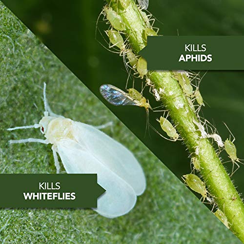 Natria 706230A Insecticidal Soap Organic Miticide, 24 oz, Ready-to-Use