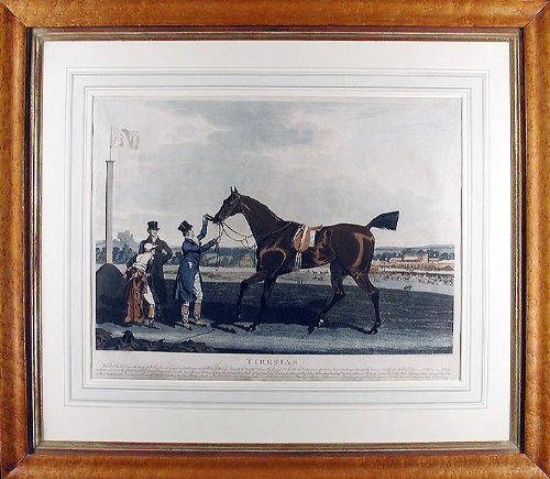 Tiresias Was bred by His Grace the Duke of Portland in 1816 was got by Soothsayer out of Sledge. At Epsom he won the Derby Stakes beating 15 others among whom were Sultan, Euphrates, The Dominic, c