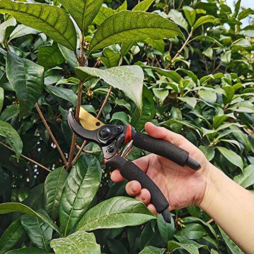 Lopper Hedge Shear & Pruner Combo Set, YRTSH 3-Piece Gardening Tool, Heavy Duty Tree & Shrub Care Kit for Yard, Garden & Lawn, Professional Hedge Clippers Tree Trimmer for Indoor & Outdoor Gardening