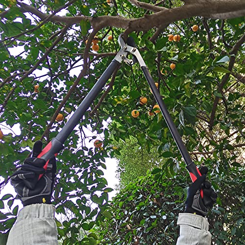 Lopper Hedge Shear & Pruner Combo Set, YRTSH 3-Piece Gardening Tool, Heavy Duty Tree & Shrub Care Kit for Yard, Garden & Lawn, Professional Hedge Clippers Tree Trimmer for Indoor & Outdoor Gardening