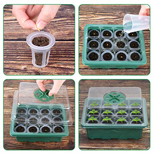 moistenland 50-Pack Compatible Seed Pod Sponges, Seed Starter Sponge Pods Replacements, Root Growth Sponge Plugs for Hydroponic Indoor Garden kit Seed Starting (Seeds Not Included) (50)