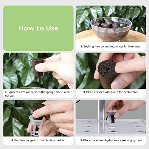 moistenland 50-Pack Compatible Seed Pod Sponges, Seed Starter Sponge Pods Replacements, Root Growth Sponge Plugs for Hydroponic Indoor Garden kit Seed Starting (Seeds Not Included) (50)