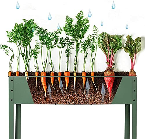 Raised Garden Bed for Vegetables Elevated Planter Box with Legs Outdoor Patio Flower Herb Container Gardening