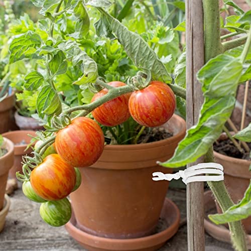 KINGLAKE 328 Feet Plastic Plant Twist Tie White Garden Plants Tie Multi-Use for Secure Vines,Plants
