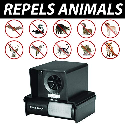 PREDATORGUARD PestAway Outdoor Animal & Cat with Motion Sensor Stops Animals Destroying Your Gardens & Yard