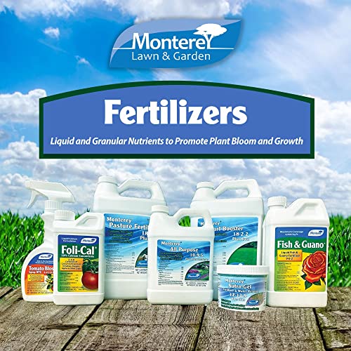 Monterey LG 7265 Fish & Guano Liquid Plant Fertilizer for Transplants and Flowers, 32 oz