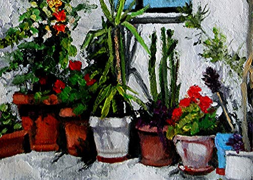 La Ventana Azul, Villa Courtyard Flwer Pots By Internationally Renowned Artist Yary Dluhos