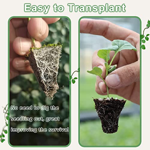 HEURYTEP 15 Packs Biodegradable Seed Starter Tray, 180 Cells Seed Starter Pots, Organic Peat Pots Kits, Seedling Starter Pots Garden Germination Trays with 20 Plant Labels, Middle Size