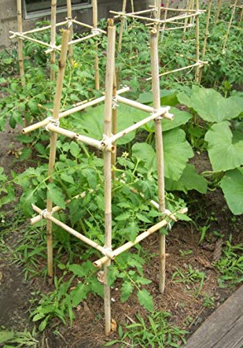 GROW!T Hydrofarm HGBB6 6' Natural, Bamboo Stake, Pack of 25, Tan