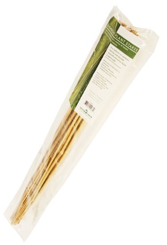 GROW!T Hydrofarm HGBB6 6' Natural, Bamboo Stake, Pack of 25, Tan