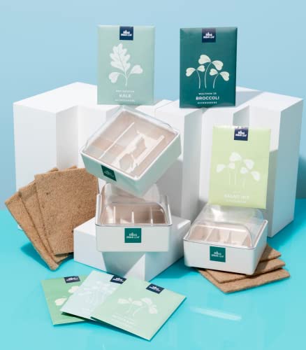 Urban Leaf Microgreens Growing Kit - Radish (Raphanus sativa), Kale (Brassica napus var pabularia), Rainbow Mix, Mustard (Brassica juncea), Spicy Mix and Broccoli Microgreens Seeds (Brassica oleracea)