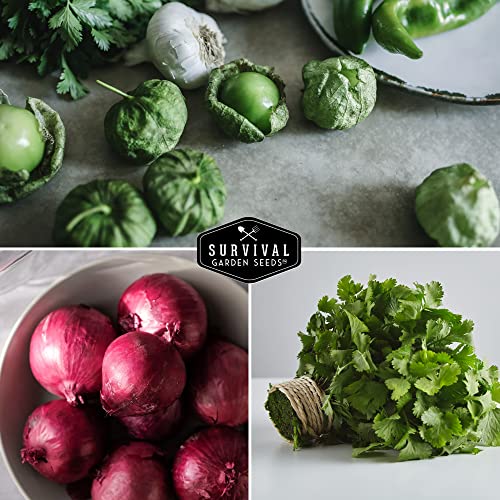 Survival Garden Seeds Salsa Collection Seed Vault - Tomatillo, Tomato, Onion, Jalapeño, Cilantro - Non-GMO Heirloom Seeds for Planting - Grow Vegetables at Home