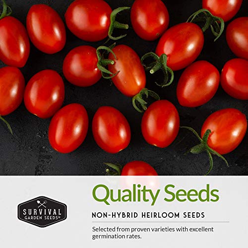 Survival Garden Seeds Salsa Collection Seed Vault - Tomatillo, Tomato, Onion, Jalapeño, Cilantro - Non-GMO Heirloom Seeds for Planting - Grow Vegetables at Home