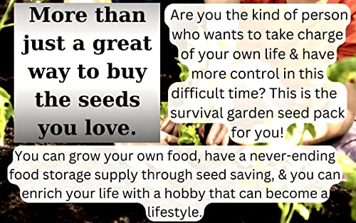 20 Vegetable & Fruit Seeds for Planting Your Outdoor & Indoor Home Seed Garden, Survival Gear Kit Includes 3200 Seeds, A Growing Guide & Mylar Package Gardening Heirloom Non-GMO Veggie Seed B&KM Farm