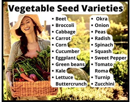 20 Vegetable & Fruit Seeds for Planting Your Outdoor & Indoor Home Seed Garden, Survival Gear Kit Includes 3200 Seeds, A Growing Guide & Mylar Package Gardening Heirloom Non-GMO Veggie Seed B&KM Farm