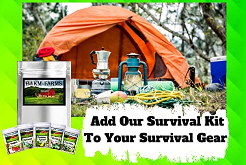 20 Vegetable & Fruit Seeds for Planting Your Outdoor & Indoor Home Seed Garden, Survival Gear Kit Includes 3200 Seeds, A Growing Guide & Mylar Package Gardening Heirloom Non-GMO Veggie Seed B&KM Farm