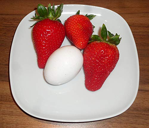 300pcs Giant Strawberry Seeds, Sweet Red Strawberry/Organic Garden Strawberry Fruit Seeds, for Home Garden Planting