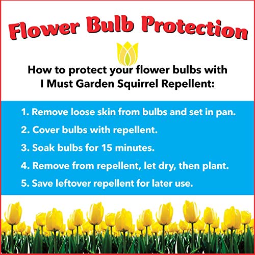 I Must Garden Squirrel Repellent: Protects Vehicles, Plants, Decking, & Furniture – Works on Chipmunks – 32oz Ready to Use