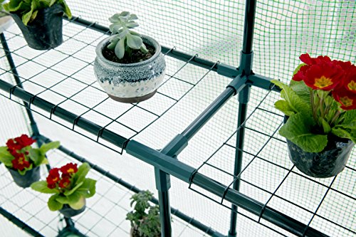 GOJOOASIS Walk in Portable Garden Greenhouse Mini Plants Shed Hot House with 3 Tiers