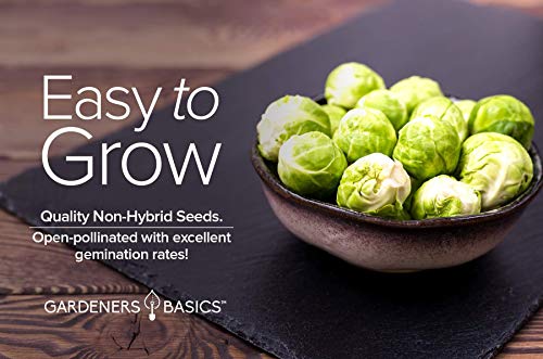 Brussels Sprouts Seeds for Planting - Long Island Improved Heirloom, Non-GMO Vegetable Variety- 800 mg Approx 225 Seeds Great for Summer, Fall, and Winter Gardens by Gardeners Basics