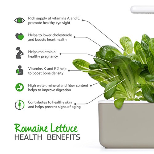 Click and Grow Smart Garden Romaine Lettuce Plant Pods, 3-Pack