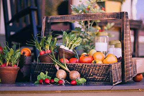 Set of 25 Premium Vegetable & Herb Seeds - 25 Deluxe Variety Premium Vegetable & Herb Garden 100% Non-GMO Heirloom
