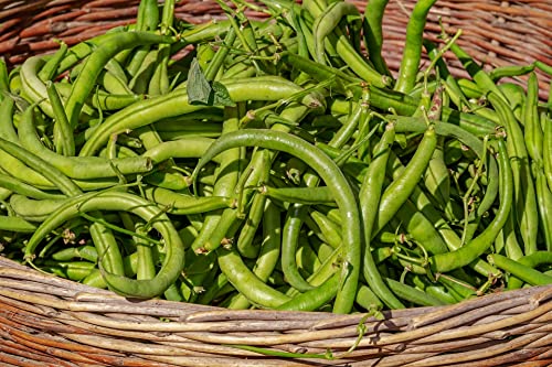 Set of 25 Premium Vegetable & Herb Seeds - 25 Deluxe Variety Premium Vegetable & Herb Garden 100% Non-GMO Heirloom