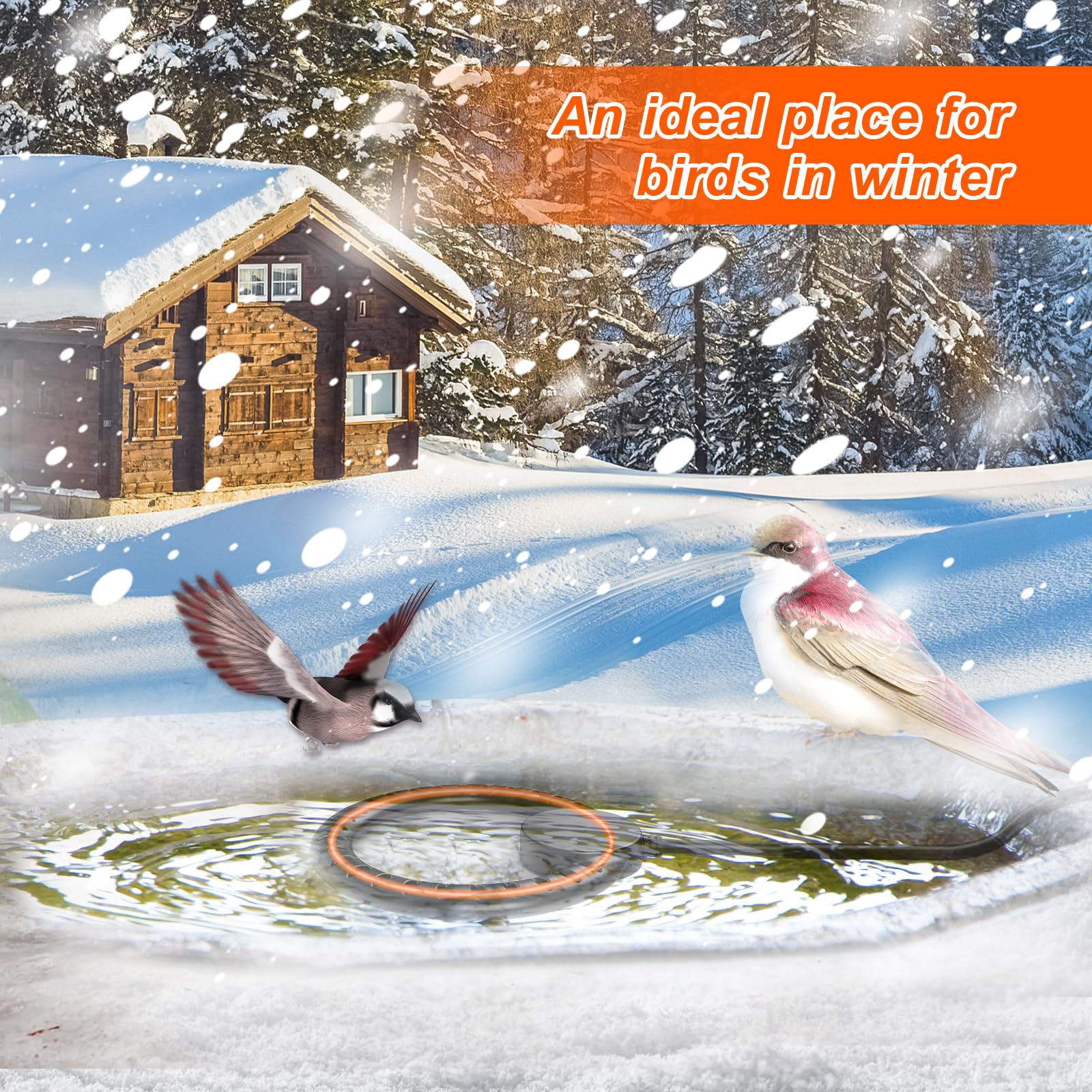 lollyes 250W Bird Bath Heater, Heated Bird Baths for Outdoor in Winter, Bird Bath De-icer with Thermostatically Controlled and 3.3Ft Cord, with Auto Shut Off Function, Ideal Gift for Birds