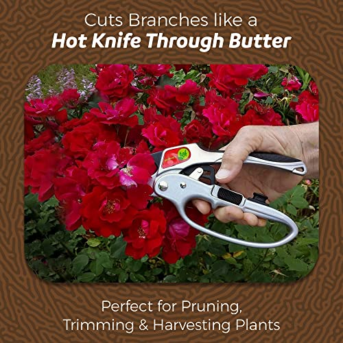 Ratchet Pruning Shears Gardening Tool – Anvil Pruner Garden Shears with Assisted Action – Ratchet Pruners for Gardening with Heavy-Duty, Nonstick Steel Blade – Garden Tools by The Gardener's Friend
