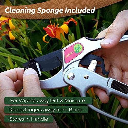 Ratchet Pruning Shears Gardening Tool – Anvil Pruner Garden Shears with Assisted Action – Ratchet Pruners for Gardening with Heavy-Duty, Nonstick Steel Blade – Garden Tools by The Gardener's Friend