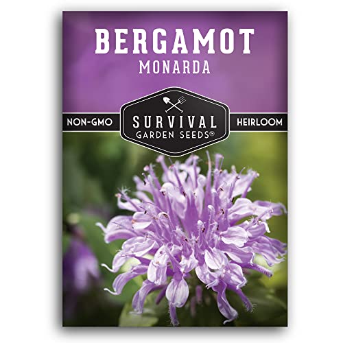 Survival Garden Seeds - Bergamot Herb (Bee Balm) Seed for Planting - Packet with Instructions to Plant and Grow Lavender Monarda Wildflowers in Your Home Vegetable Garden - Non-GMO Heirloom Variety