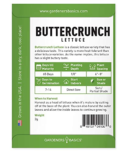 2000+ Buttercrunch Lettuce Seeds for Planting - Butterhead Boston Bibb Heirloom, Non-GMO Vegetable Variety- 2 Grams Seeds Great for Spring, Summer, Winter Garden and Hydroponics by Gardeners Basics