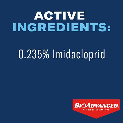 BioAdvanced Fruit, Citrus & Vegetable Insect Control, Concentrate, 32 oz