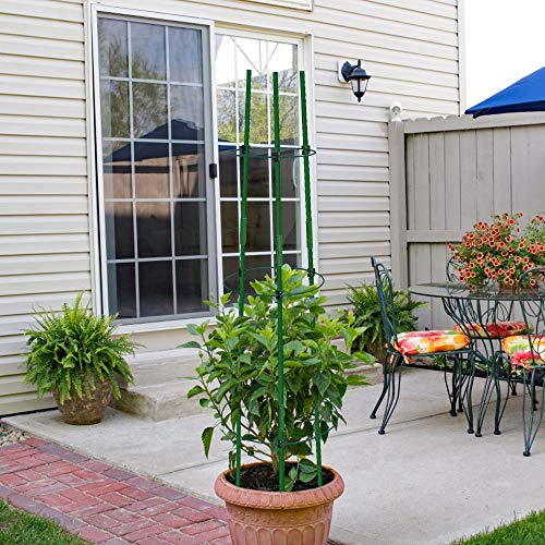 Gardzen 3-Pack Tomato Cage, Plants Support, Trellis Climbing Ring Cage, Stand for Pepper Eggplant Tomato Flowers