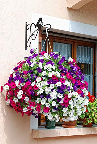 Amagabeli Hanging Plants Bracket Hanger 11" Wall Planter Hook Flower Pot Baskets Bird Feeder Wind Chime Lanterns Patio Garden for Outdoor Shelves Fence Screw Mount Arm Hardware Butterfly Black hook06