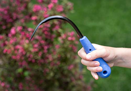 CobraHeadĀ® Mini Weeder & Cultivator Garden Hand Tool - Forged Steel Blade - Recycled Plastic Handle - Ergonomically Designed for Digging, Edging & Planting - Perfect for Small Gardening Jobs
