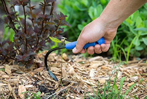 CobraHeadĀ® Mini Weeder & Cultivator Garden Hand Tool - Forged Steel Blade - Recycled Plastic Handle - Ergonomically Designed for Digging, Edging & Planting - Perfect for Small Gardening Jobs