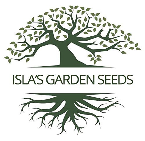 "Sugar Pie" Pumpkin Seeds for Planting, 20+ Heirloom Seeds Per Packet, (Isla's Garden Seeds), Non GMO Seeds, Non GMO Seeds, Botanical Name: Cucurbita Pepo, This Variety is for Making Pumpkin Pie!