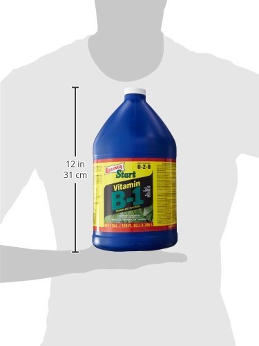 Liquinox 0-2-0 Start with Vitamin B-1, 1-Gallon