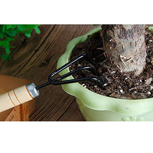 Diligent Farmer Mini Garden Tool Set, 3 Piece Hand Suit Small Shovel/Rake/Spade Ideal for Men and Women